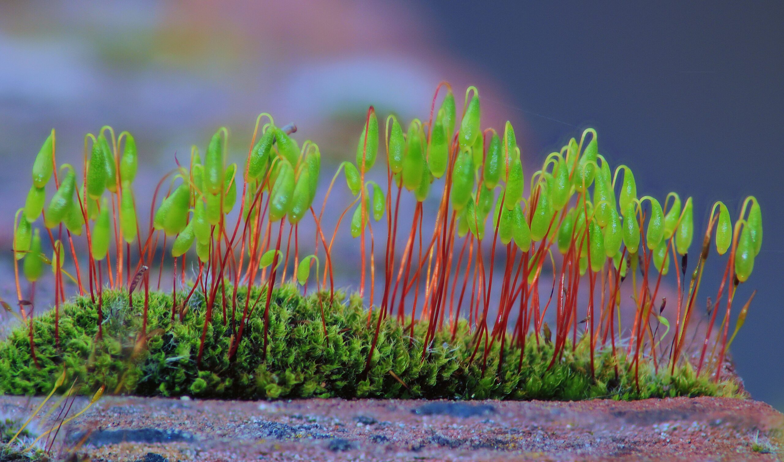 Highfield Residents Association | Welcome!